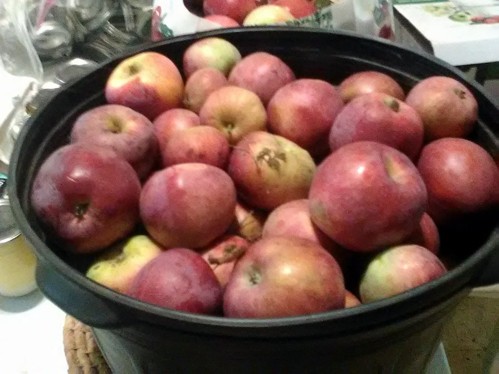 Our Simple Homestead – Living a Simple LIfe is Living the Good Life