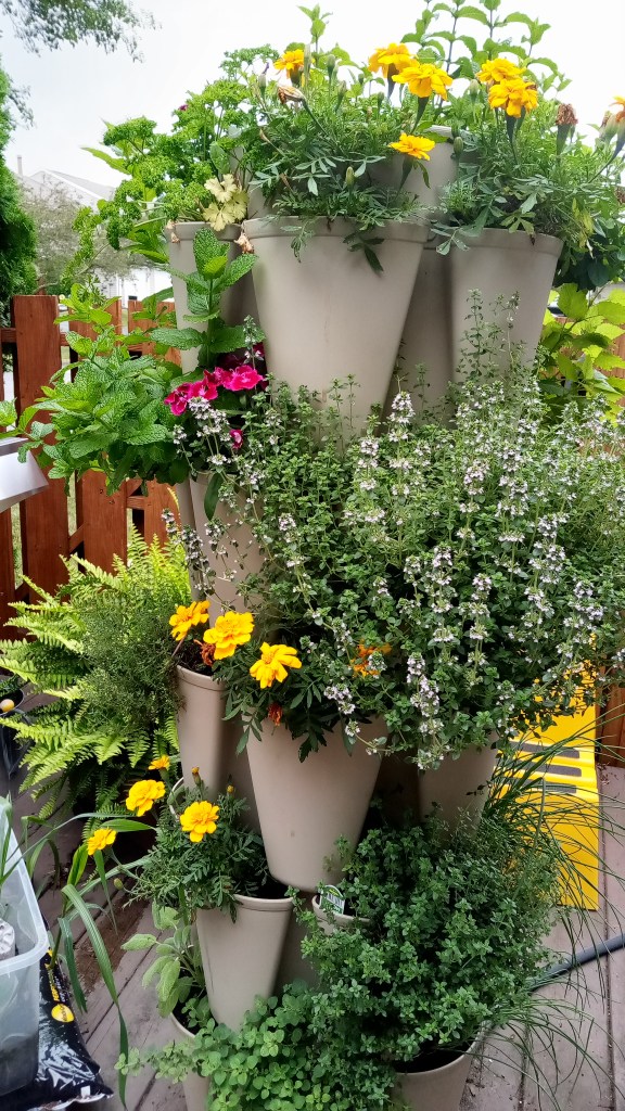 Our Simple Homestead – Living a Simple LIfe is Living the Good Life